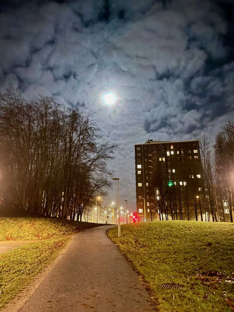 Morgon och månsken – Håkan Dahlström